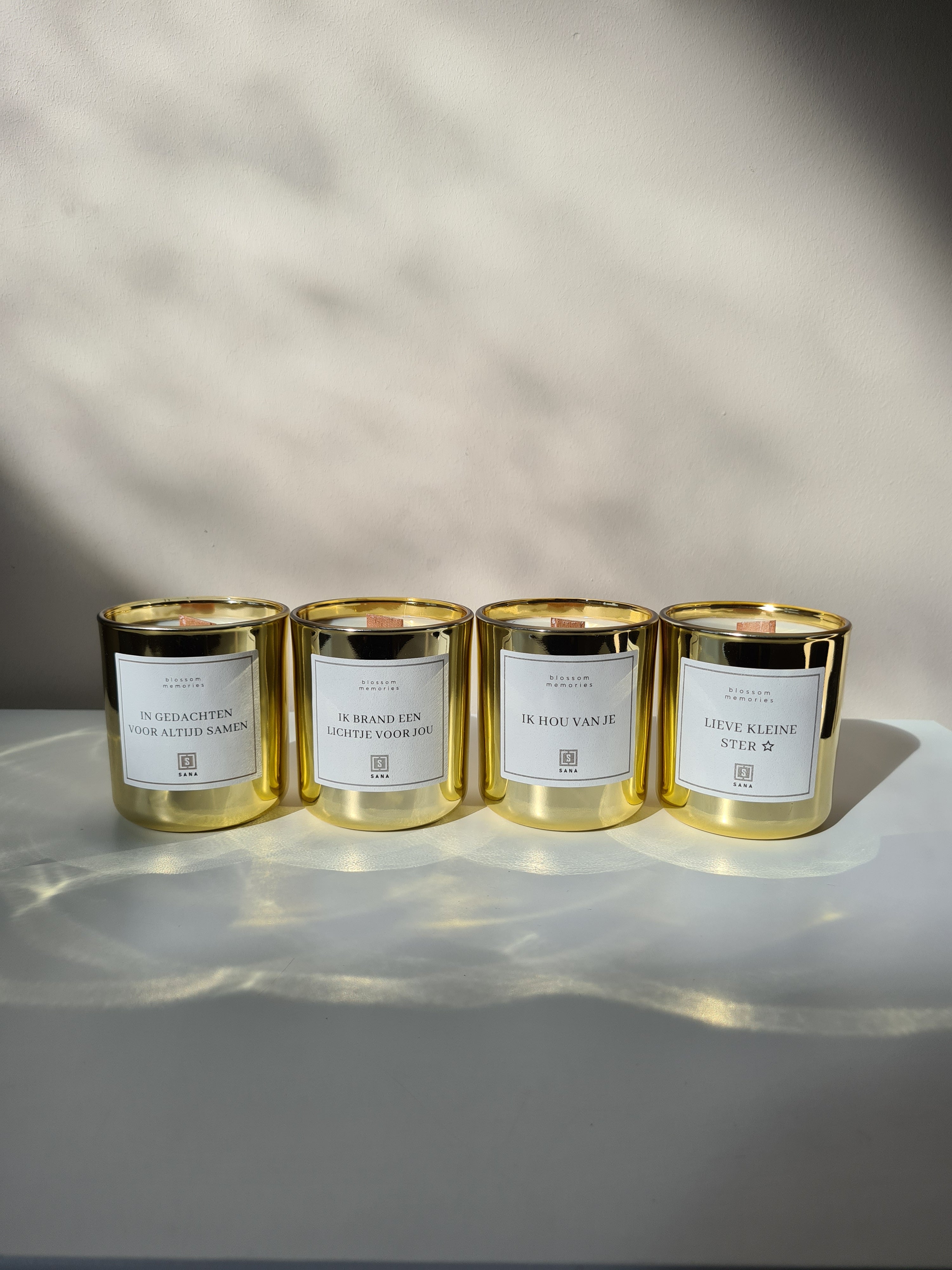 De Fasen van Rouw volgens Kübler-Ross, wat biedt ondersteuning. – SANA